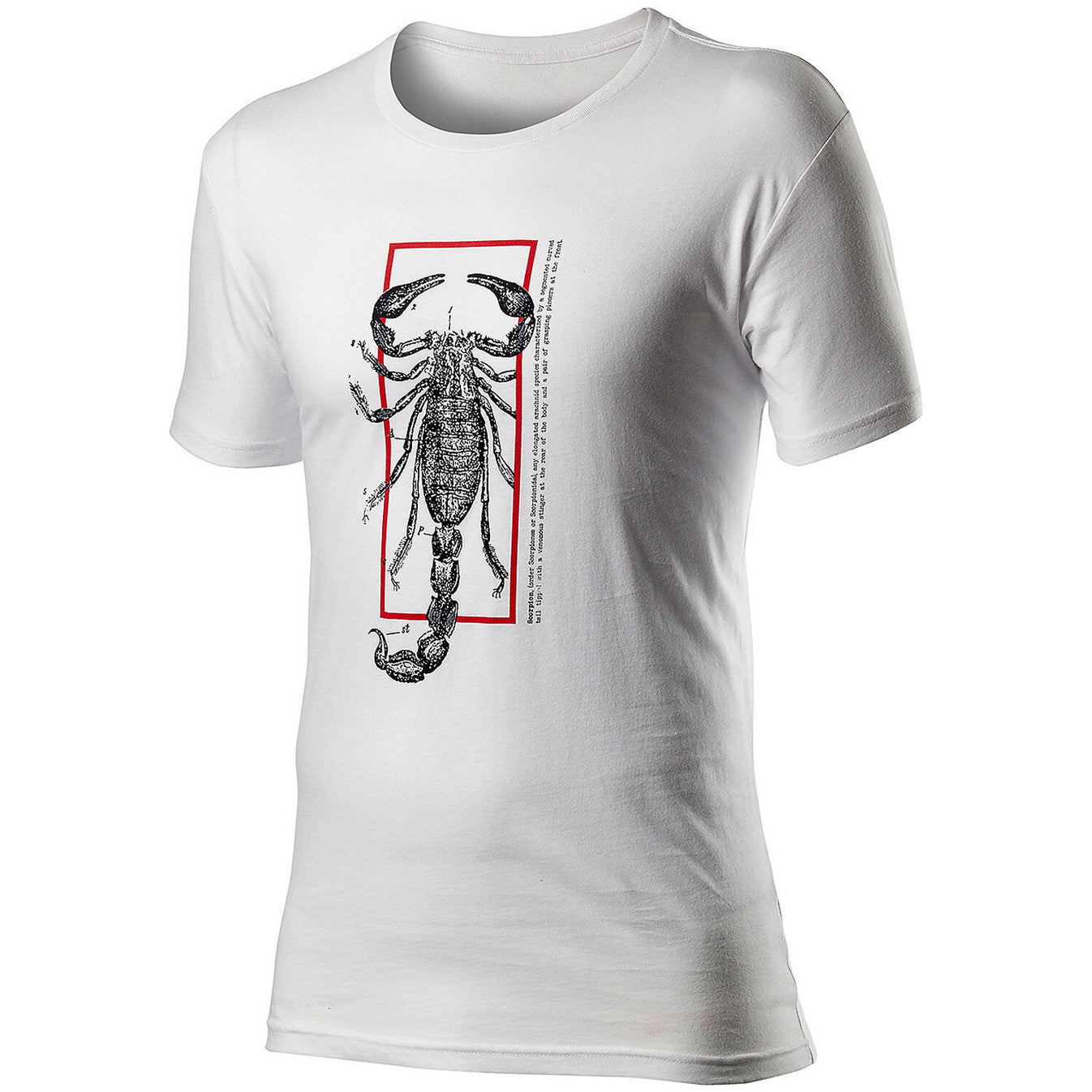 CASTELLI Logo Tee - White – Castelli SA